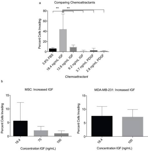 An In Vitro Inverted Vertical Invasion Assay to Avoid Manipulation of ...