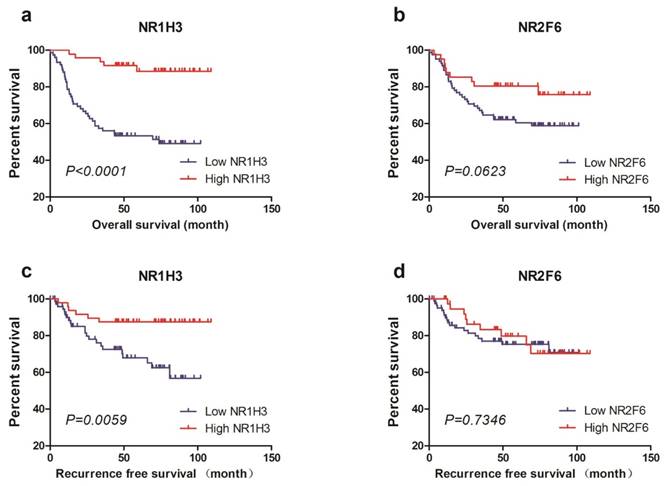 NR1H3 Expression is a Prognostic Factor of Overall Survival for ...