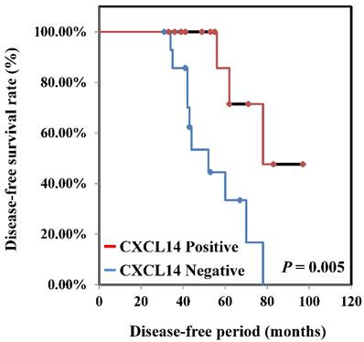 The epigenetic regulation of CXCL14 plays a role in the pathobiology of ...