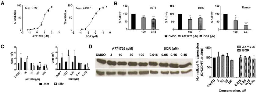 Dihydroorotate dehydrogenase Inhibitors Target c-Myc and Arrest ...