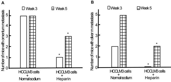 Heparanase Contributes To Trans-Endothelial Migration of Hepatocellular ...