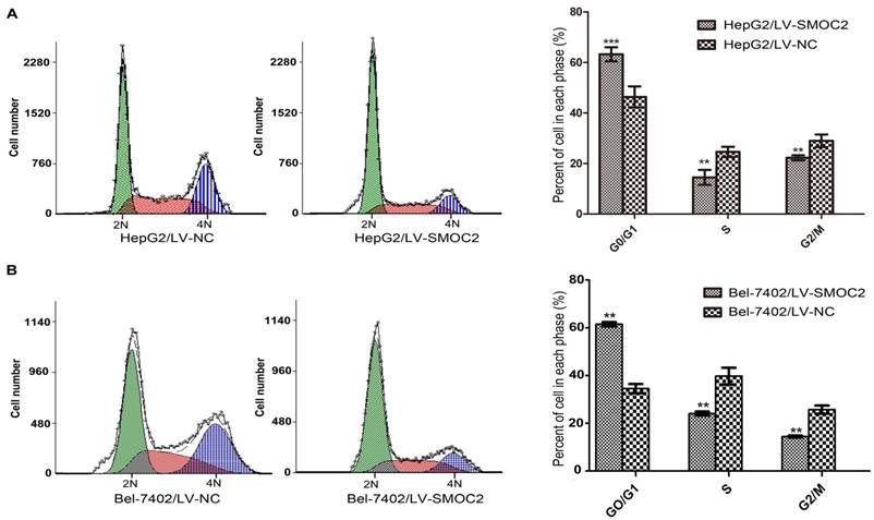 Overexpression of SMOC2 Attenuates the Tumorigenicity of Hepatocellular ...