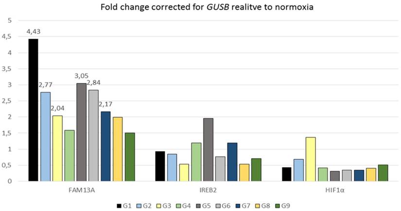 FAM13A as a Novel Hypoxia-Induced Gene in Non-Small Cell Lung Cancer