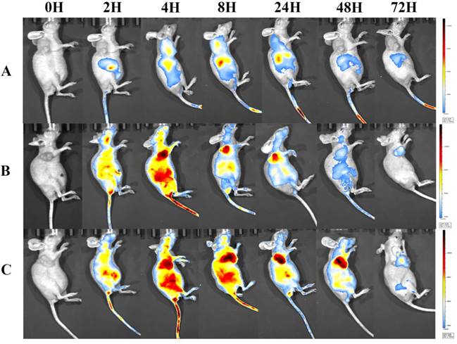 Recombinant nanocomposites by the clinical drugs of Abraxane® and ...