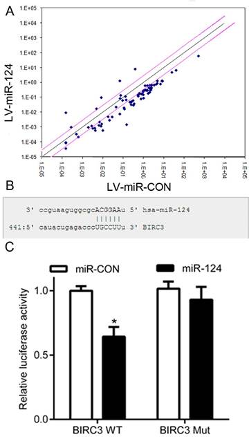 Identification of microRNA-124 in regulation of Hepatocellular ...