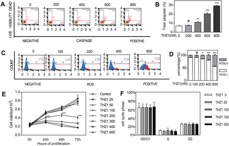 Covalent CDK7 Inhibitor THZ1 Inhibits Myogenic Differentiation