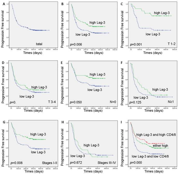 Prognostic Value of Lymphocyte Activation Gene-3 (LAG-3) Expression in ...