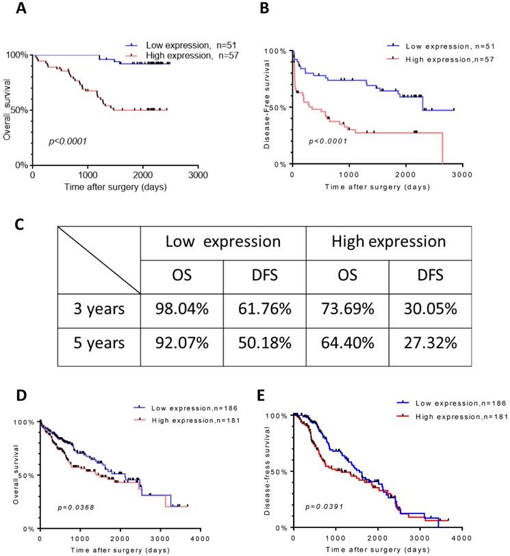 The Upregulation of Trophinin-Associated Protein (TROAP) Predicts a ...