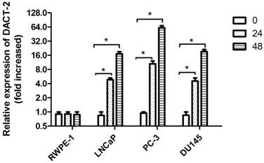 Downregulation of DACT-2 by Promoter Methylation and its ...
