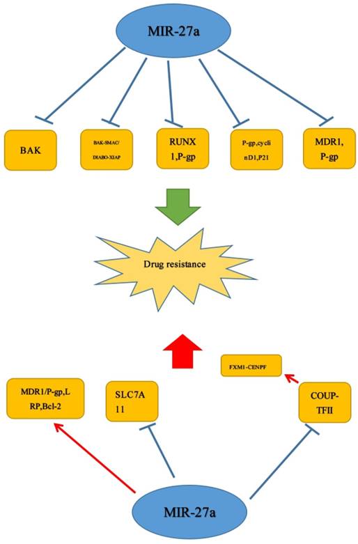 MiR-27a: A Novel Biomarker and Potential Therapeutic Target in Tumors