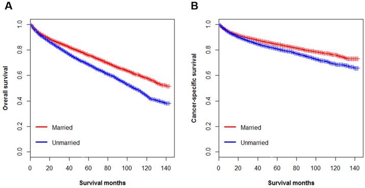 A real-world 1:1 propensity-matched study revealed unmarried status was ...
