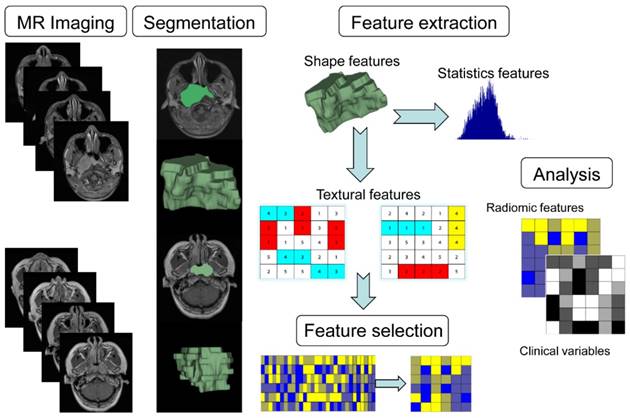 Radiomic Nomogram: Pretreatment Evaluation of Local Recurrence in ...