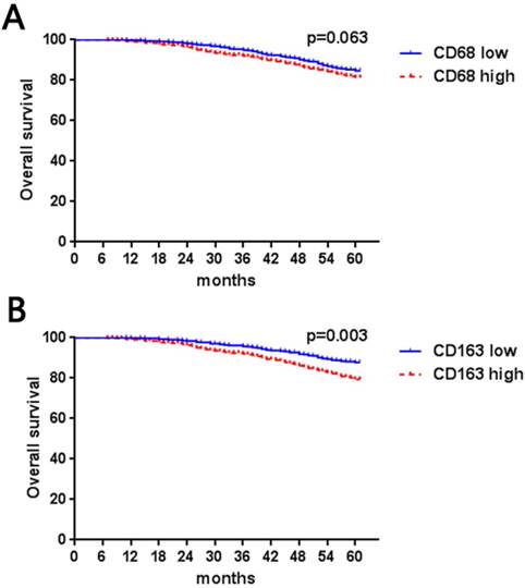 CD68- and CD163-positive tumor infiltrating macrophages in non ...