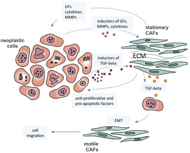 Cellular Interactions in the Tumor Microenvironment: The Role of Secretome