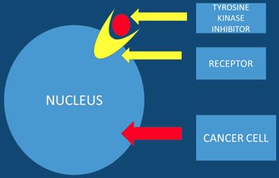 Update on current pancreatic treatments: from molecular pathways to ...