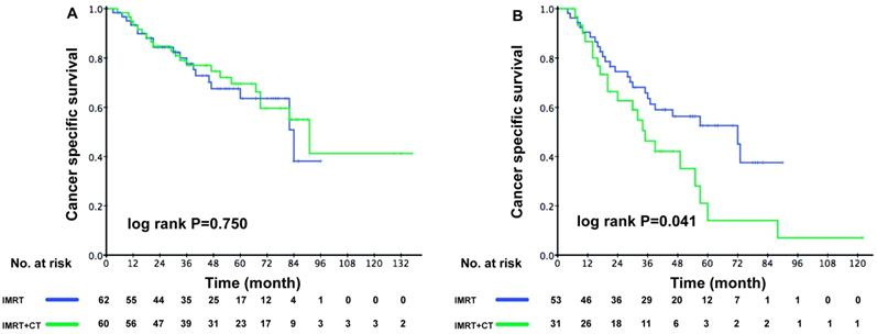The impact of Adult Comorbidity Evaluation-27 on the clinical outcome ...