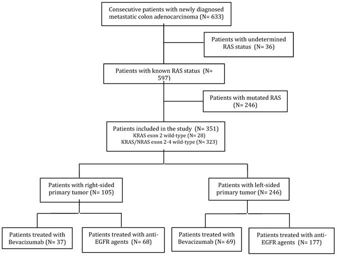 Impact of primary tumor location in patients with RAS wild-type ...
