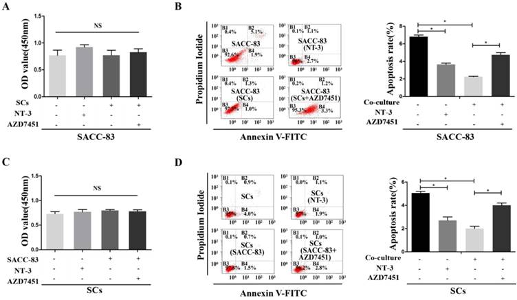 NT-3/TrkC Axis Contributes to the Perineural Invasion and the Poor ...