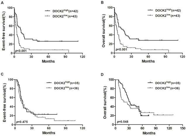 High expression of DOCK2 indicates good prognosis in acute myeloid leukemia