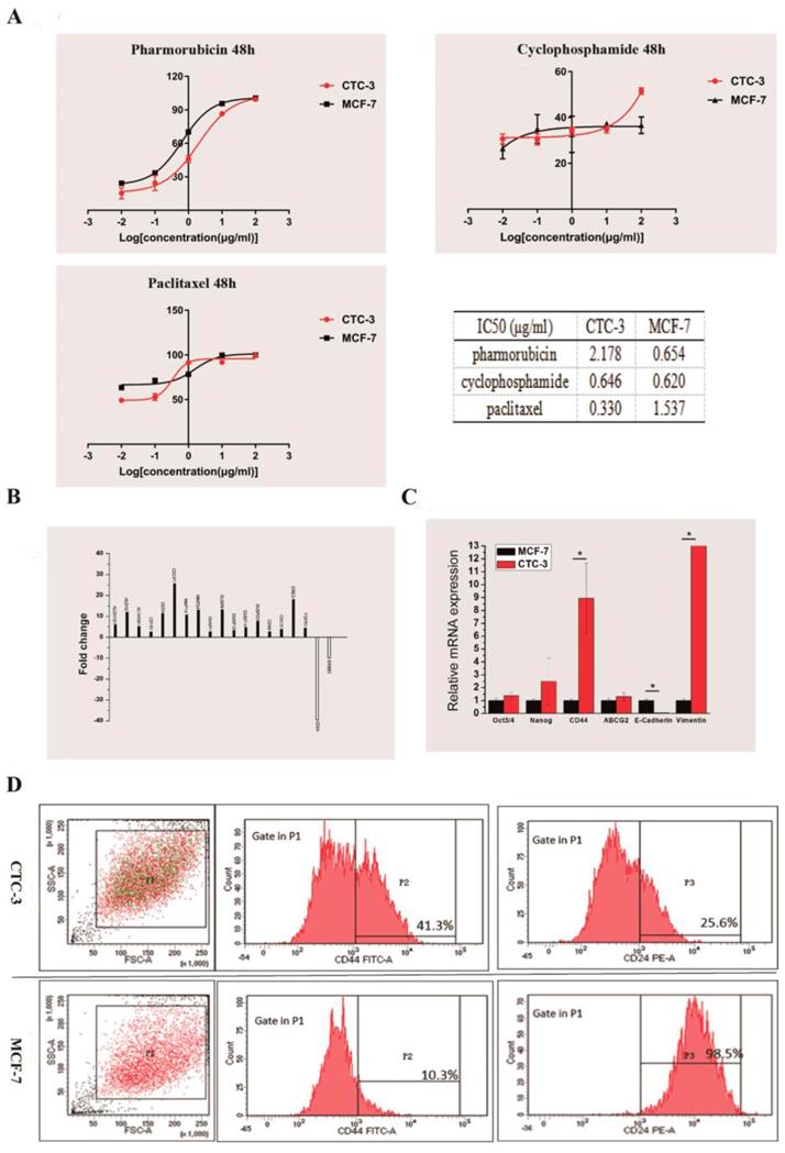 Establishment and Characterization of a CTC Cell Line from Peripheral ...