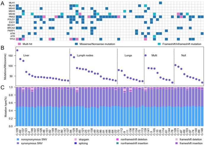 The somatic mutation landscape of Chinese Colorectal Cancer