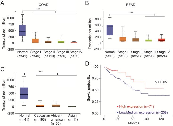 The somatic mutation landscape of Chinese Colorectal Cancer
