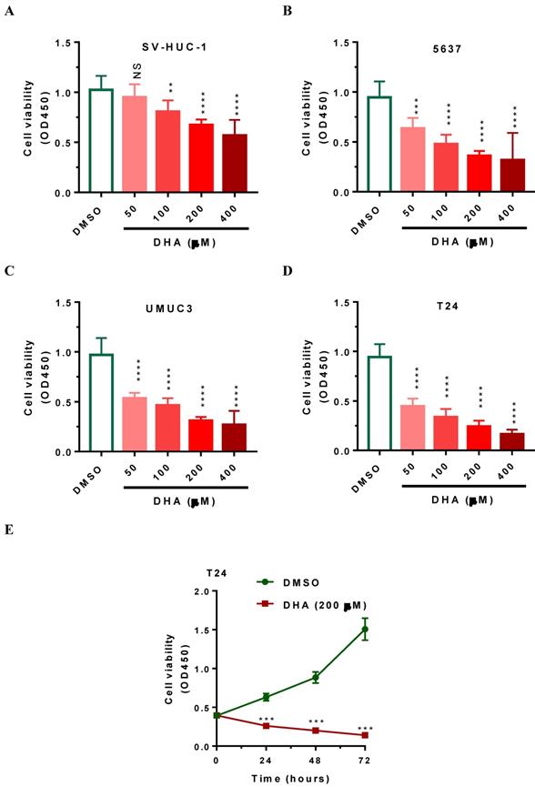 Dihydroartemisinin suppresses bladder cancer cell invasion and ...