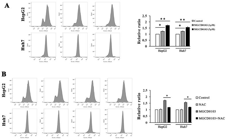 Histone deacetylase inhibitor MGCD0103 causes cell cycle arrest ...