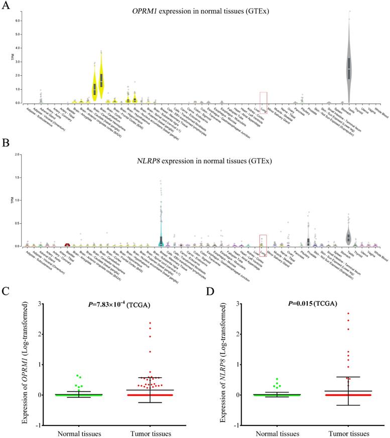 Systematic analysis of genetic variants in cancer-testis genes ...