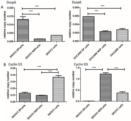 Overexpression of DUSP6 enhances chemotherapy-resistance of ovarian ...
