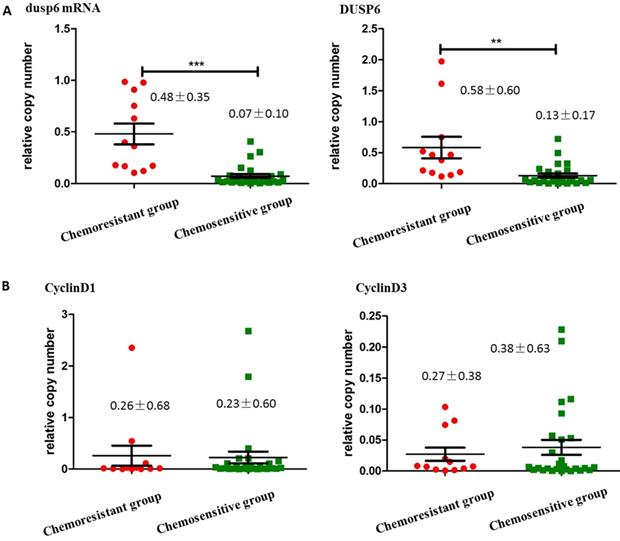Overexpression of DUSP6 enhances chemotherapy-resistance of ovarian ...