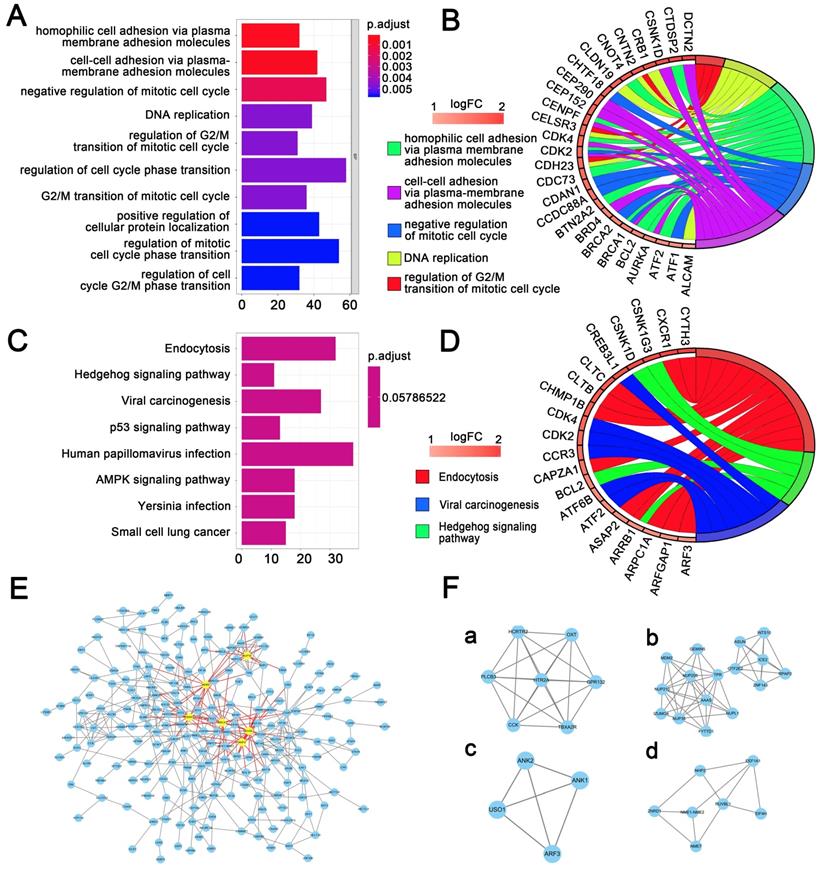 DNA methylation profiling to predict overall survival risk in gastric ...