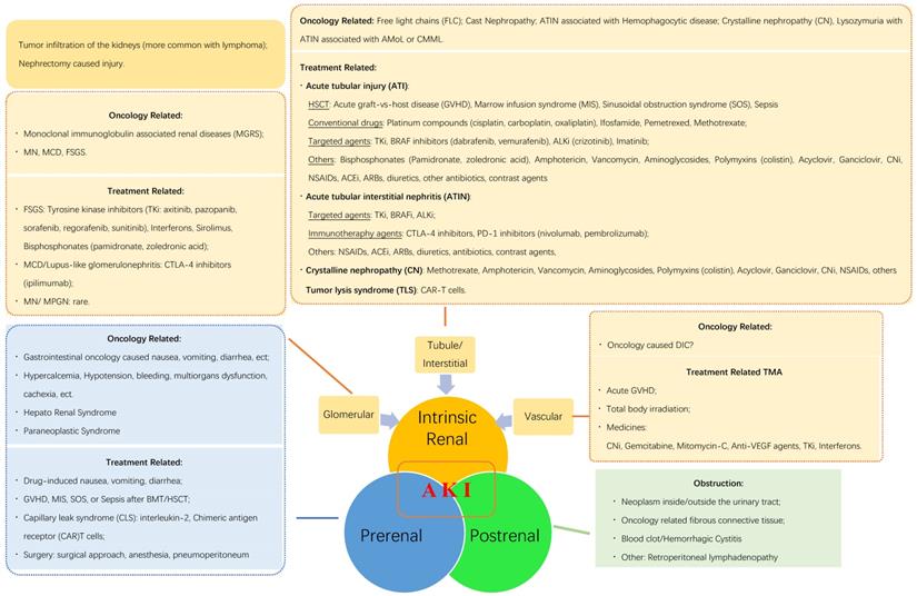 Acute Kidney Injury in Oncology Patients