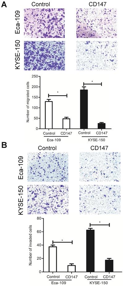 Identification of LCA-binding Glycans as a Novel Biomarker for ...