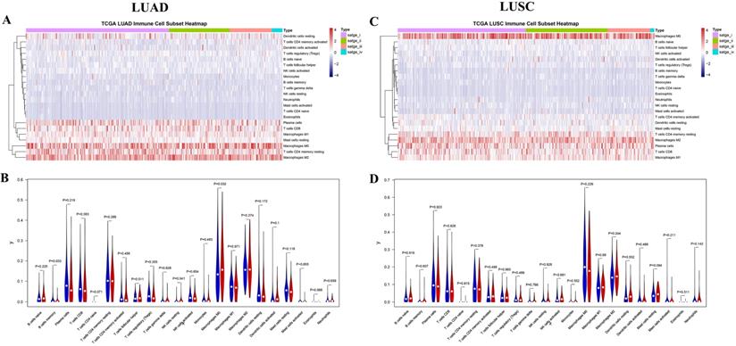Identification of the key genes and characterizations of Tumor Immune ...