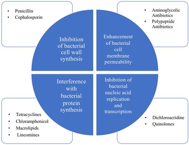 Antibiotics for cancer treatment: A double-edged sword