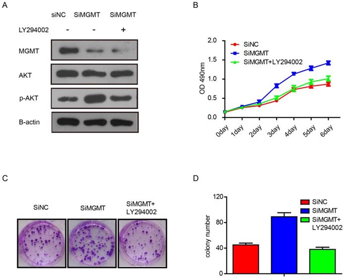 O-6-methylguanine DNA methyltransferase is a favorable biomarker with ...