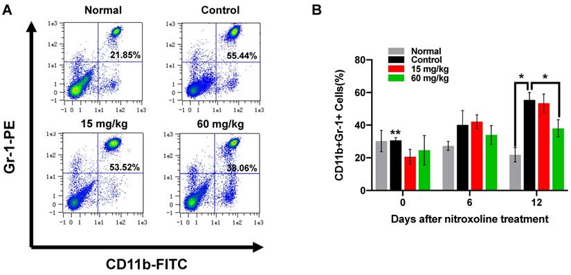 Nitroxoline inhibits bladder cancer progression by reversing EMT ...