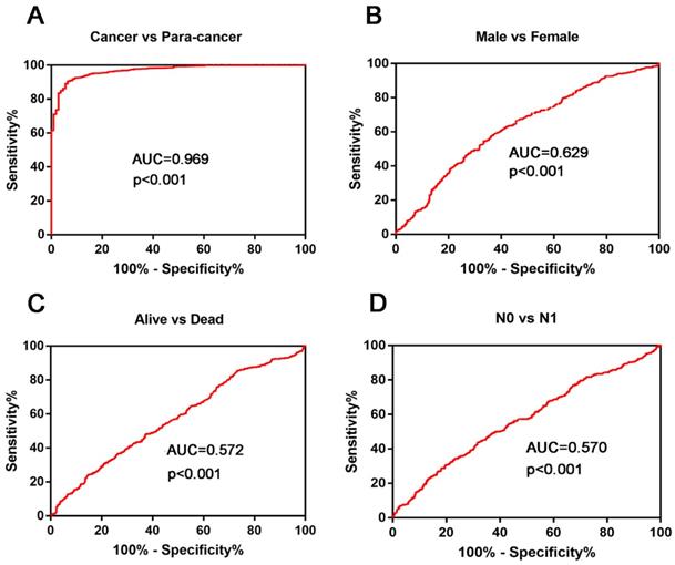 Overexpression of KIAA0101 Promotes the Progression of Non-small Cell ...