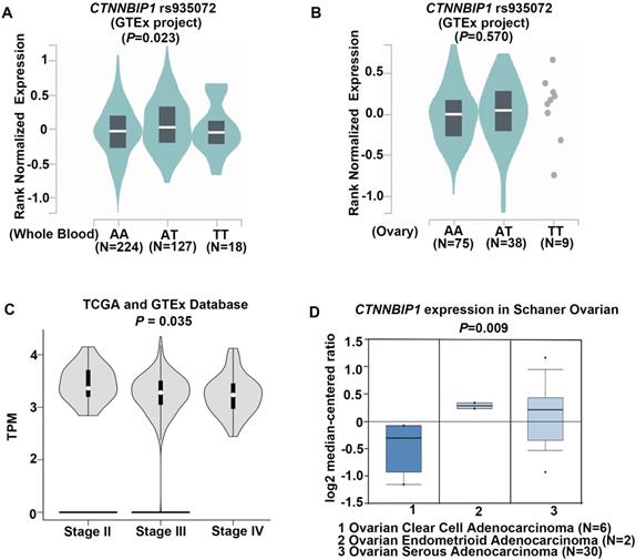 Functional genetic variants of CTNNBIP1 predict platinum treatment ...