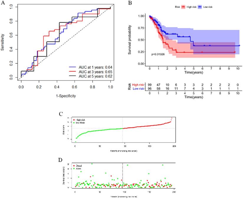 Infiltrating Immune Cells in Gastric Cancer: A Novel Predicting Model ...