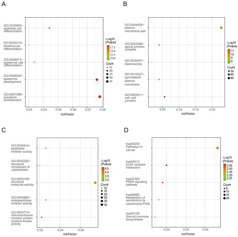 Identification of novel biomarkers and candidate small-molecule drugs ...