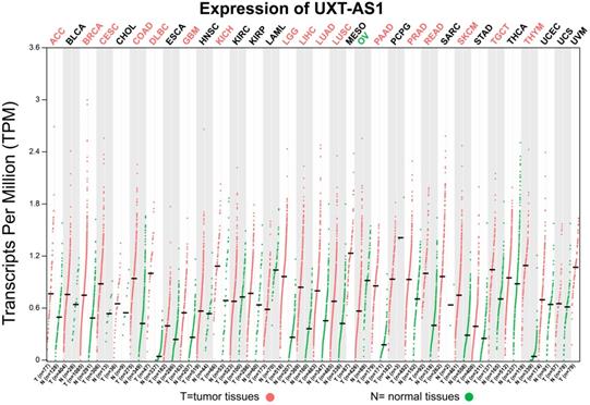 UXT antisense RNA 1 sever as a novel prognostic long non-coding RNA in ...