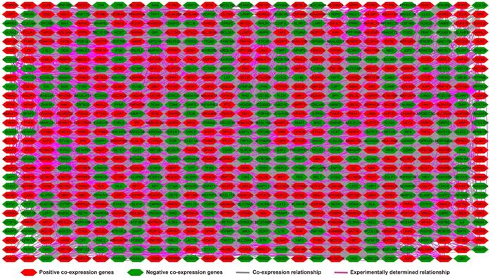 UXT antisense RNA 1 sever as a novel prognostic long non-coding RNA in ...