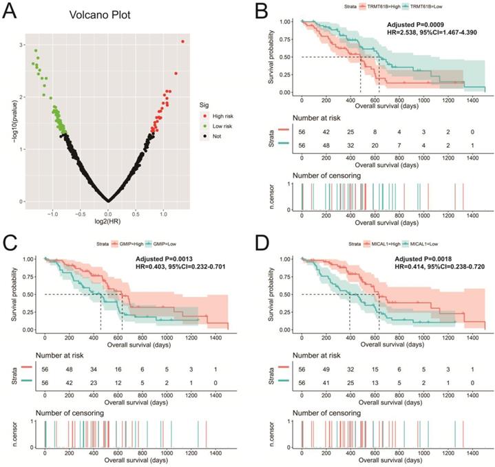 UXT antisense RNA 1 sever as a novel prognostic long non-coding RNA in ...