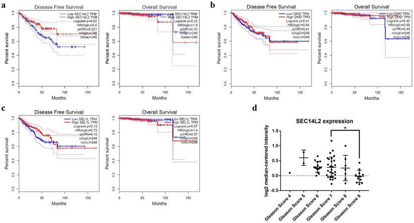 Genome-wide Expression Analysis Identifies the Association between ...