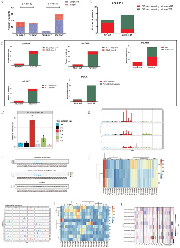 Integrated Genomic and Transcriptomic Analysis reveals key genes for ...
