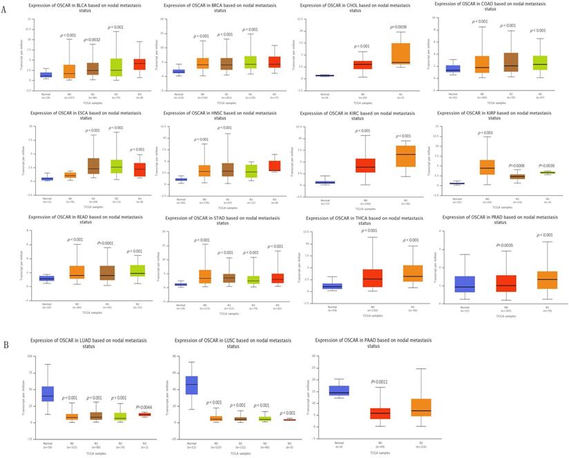 OSCAR facilitates malignancy with enhanced metastasis correlating to ...