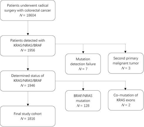 Prognostic Value of KRAS Exon 3 and Exon 4 Mutations in Colorectal ...