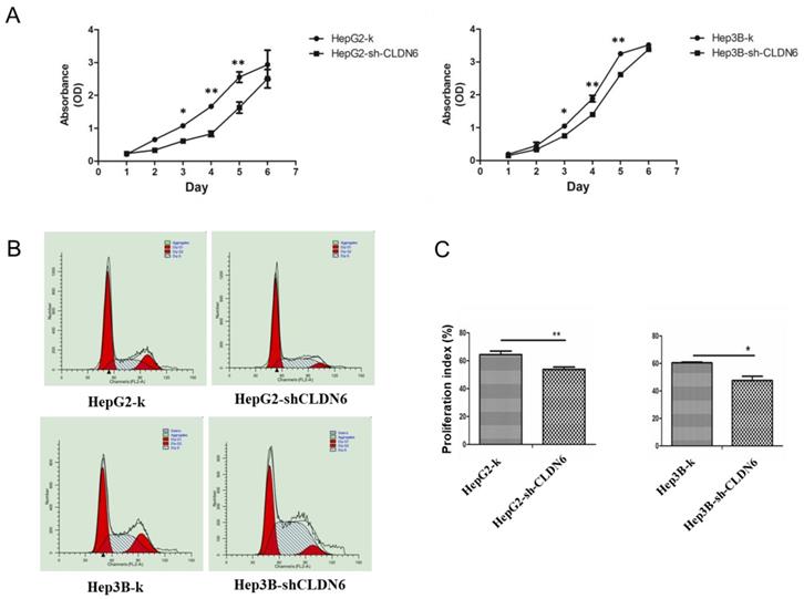 The Expression of CLDN6 in Hepatocellular Carcinoma Tissue and the ...